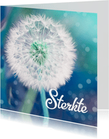 Sterkte kaart - Gepaste sterkte kaartjes | Kaartje2go