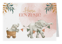 Felicitatie geboorte » Felicitatiekaarten | Kaartje2go