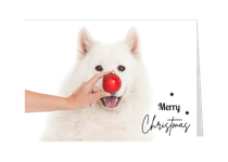 Kerstkaart met hond maken | Kaartje2go