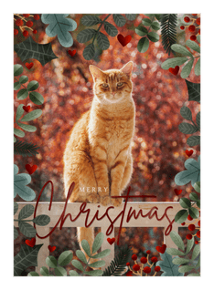 Gekke & grappige dieren kerstkaarten 2022 | Kaartje2go