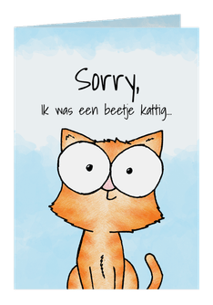 Sorry kaart tekst - Teksten voor Sorry kaarten | Kaartje2go