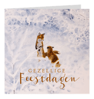 Gekke & grappige dieren kerstkaarten 2022 | Kaartje2go