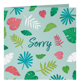 Sorry kaart tekst - Teksten voor Sorry kaarten | Kaartje2go
