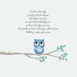 Geboortekaartje uiltjes derde kindje zon | Kaartje2go