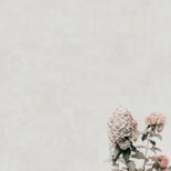 Stijlvolle rouw bedankkaart met foto van | Kaartje2go