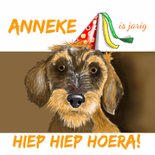 Verjaardag Teuntje teckel - Verjaardagskaarten | Kaartje2go