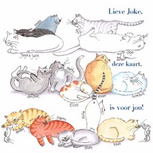 Kaart met kat - voor echte poezenvrienden | Kaartje2go