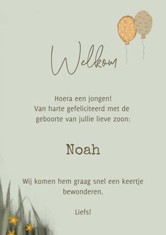 Felicitatiekaart geboorte zoon konijntje met | Kaartje2go