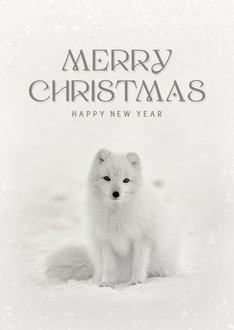 Witte kerstkaart met een natuurfoto van een | Kaartje2go