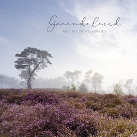 Condoleance kaart maken en sturen | Kaartje2go