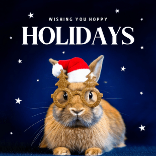 Grappige kerstkaartjes konijn met kerstmuts en | Kaartje2go