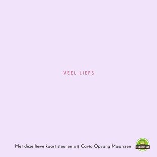 Beterschapskaart met cavia en groente | Kaartje2go