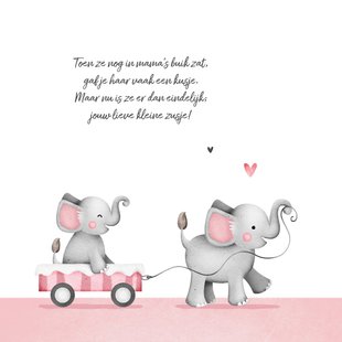 Felicitatiekaart grote zus meisje geboorte | Kaartje2go