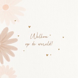 Felicitatiekaart hallo lief kind | Kaartje2go