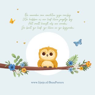 Geboortekaartje derde kindje broertje jongen | Kaartje2go