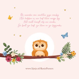 Geboortekaartje derde kindje uiltjes lief | Kaartje2go