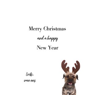 Kerstkaart hond Border Terrier met rendier | Kaartje2go
