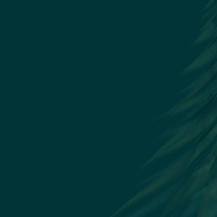 Kerstkaart kerstboom op groen - Kerstkaarten | Kaartje2go