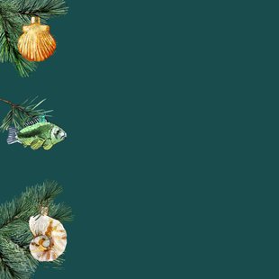 Kerstkaart ornamenten vis kersttakjes | Kaartje2go