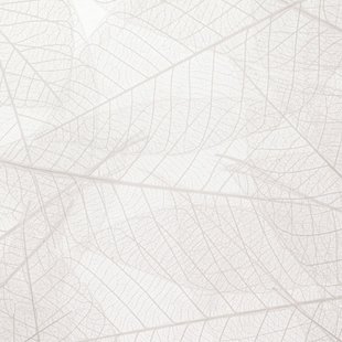 Natuurlijke rouwkaart bladnerven kader wit | Kaartje2go