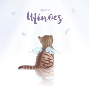 Rouwkaarten kat engel huisdier - Rouwkaarten | Kaartje2go