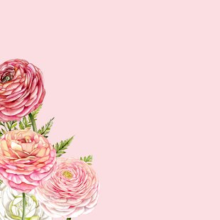 Wenskaart ranonkels - Wenskaarten | Kaartje2go