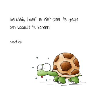 Zomaar kaart schildpad- Rustig aan | Kaartje2go