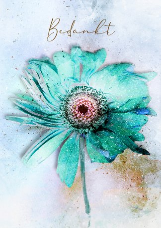 Zelf een bedankkaart maken | Kaartje2go