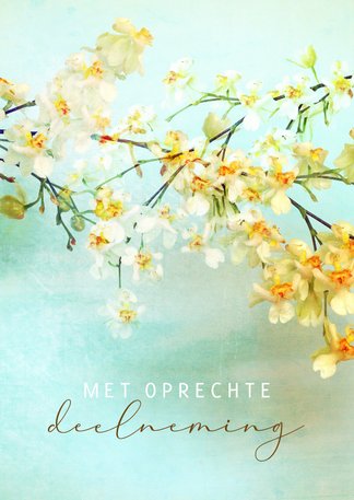 Condoleance kaart - Condoleancekaart maken | Kaartje2go