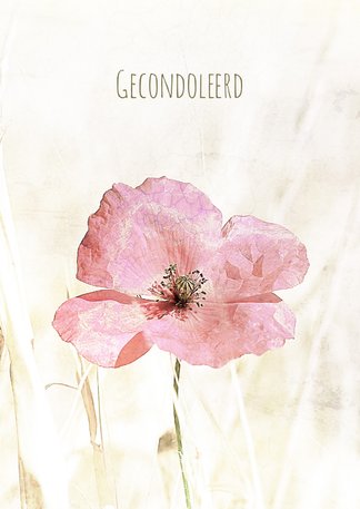 Condoleance kaart - Condoleancekaart maken | Kaartje2go