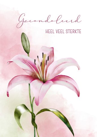 Condoleance kaart maken en sturen | Kaartje2go