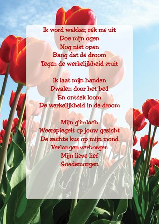 Gedichtenkaarten - Mooiste gedichten kaartjes | Kaartje2go