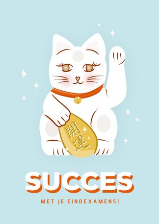 Succes examen kaartje versturen | Kaartje2go