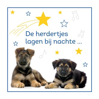 KNGF kerstkaart herdertjes - Kerstkaarten | Kaartje2go