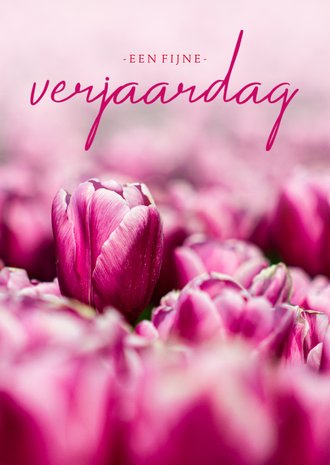 Verjaardagskaart roze tulpen fijne verjaardag | Kaartje2go