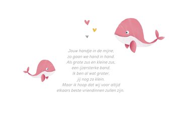 Felicitatiekaartje geboorte meisje zusje | Kaartje2go