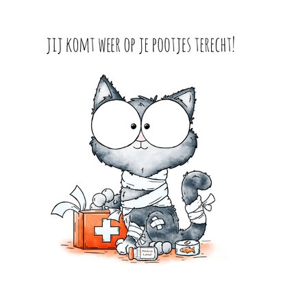 Beterschapskaart poes jij komt weer op je | Kaartje2go
