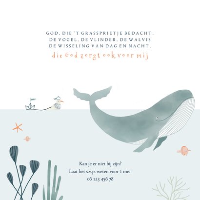 Communiekaart oceaan walvis dieren illustratie | Kaartje2go