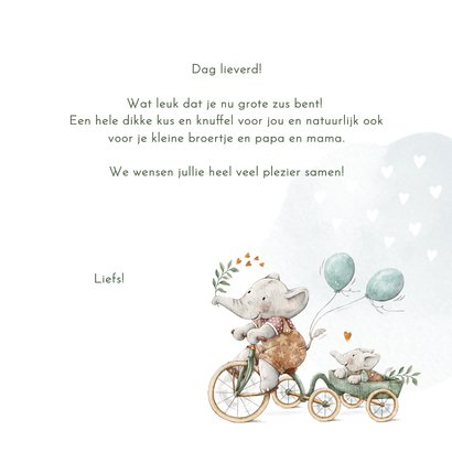 Felicitatie geboorte broertje met olifantjes op | Kaartje2go
