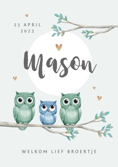 Geboortekaartje derde kindje uiltjes dieren bos | Kaartje2go