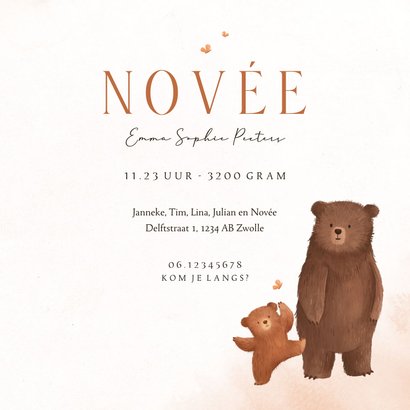 Geboortekaartje derde kindje zusje beren | Kaartje2go