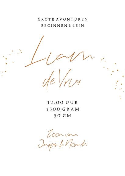 Geboortekaartje sterrenbeeld tweeling goud | Kaartje2go