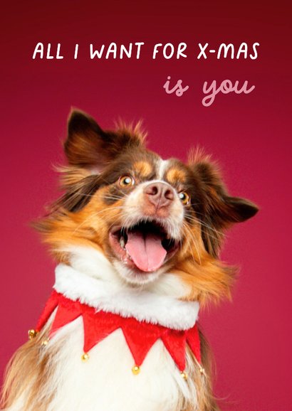 Grappige kerstkaart van vrolijk springende hond | Kaartje2go