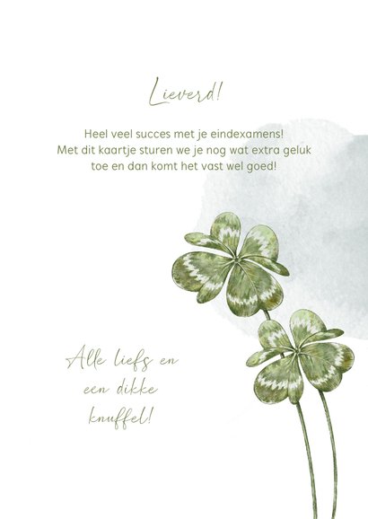 Lief kaartje om iemand succes en geluk te | Kaartje2go