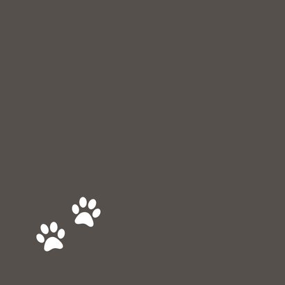 Verjaardagskaart grappig hoera kat poes humor | Kaartje2go