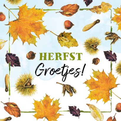 zomaar kaartje met herfst groetjes | Kaartje2go