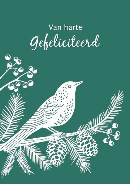 Kerstkaarten met dieren | Kaartje2go