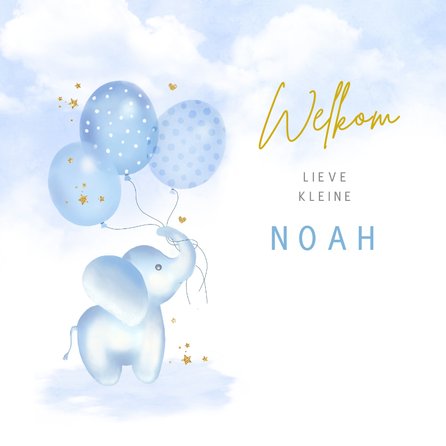 Kaarten voor de geboorte van een zoon | Kaartje2go