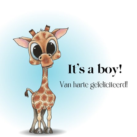 Felicitatie geboorte » Felicitatiekaarten | Kaartje2go