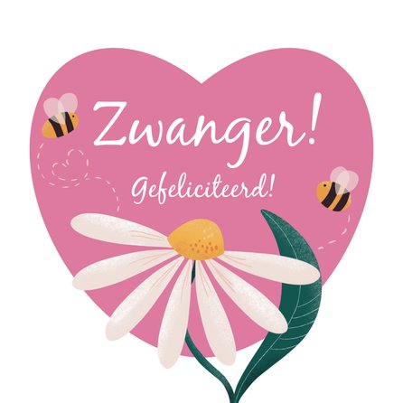 Felicitatie zwangerschap! Gefeliciteerd zwanger | Kaartje2go